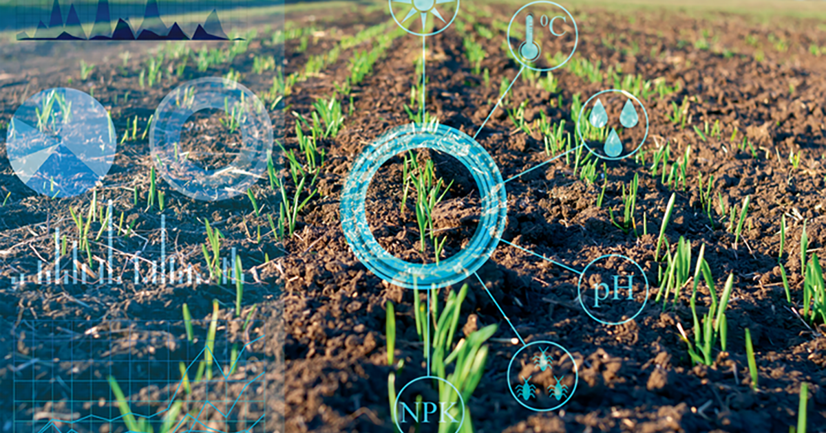 Cover crops, sensors, and food security | Science Societies