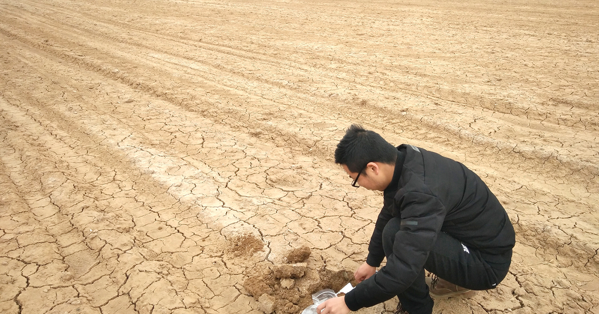 Tobacco root rot and microorganism communities | Science Societies