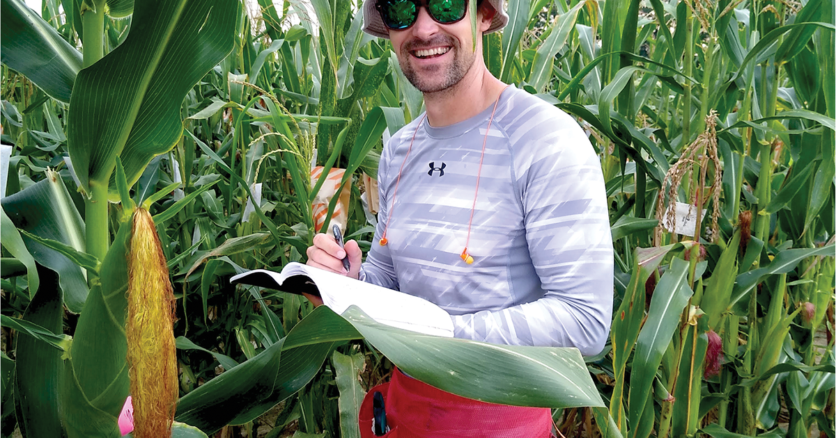 Breeding maize to expand low-protein diets | Science Societies