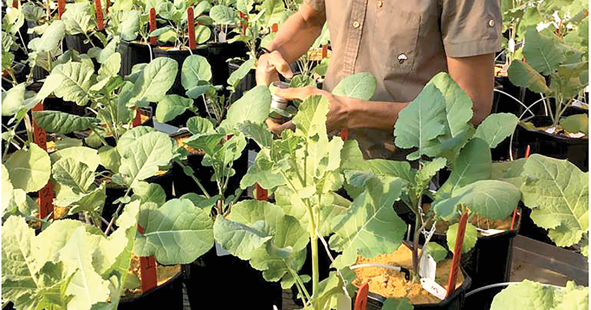 Working together to drive agricultural scientific innovation | Science ...