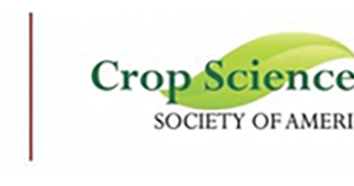 Sorghum: Another perennial grass crop for grain and forage | Science ...