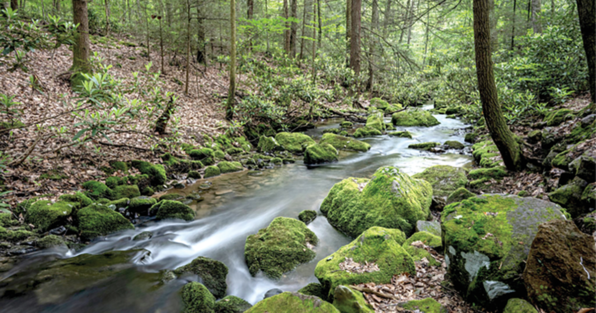 Road salts are primary driver of freshwater salinization in urban areas ...