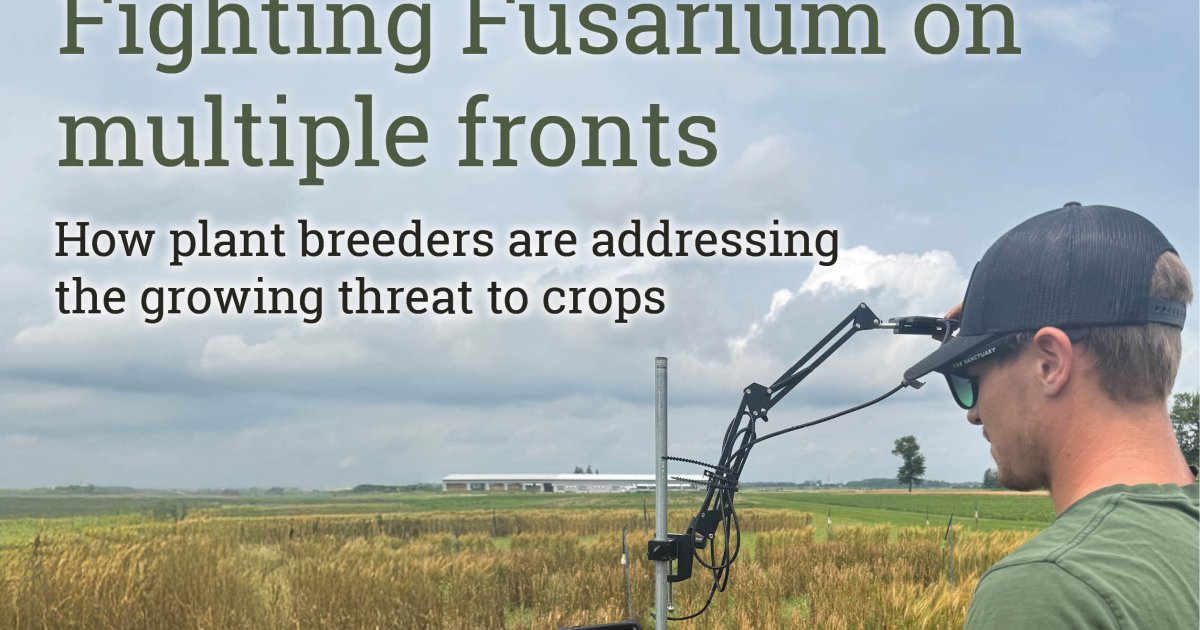 CSA News: Volume 70, Issue 8 | Science Societies