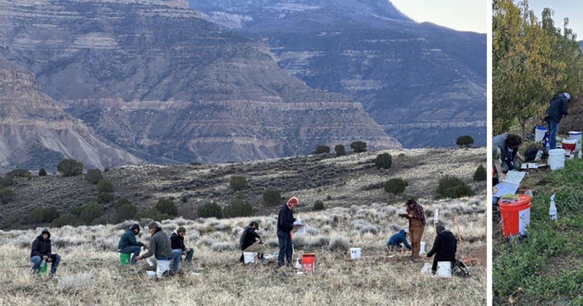 Colorado State University hosts 2025 Northwest Regional Collegiate Soil ...