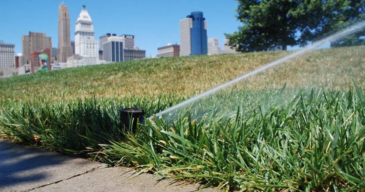 Water use in turfgrass the focus of a new collection of papers ...