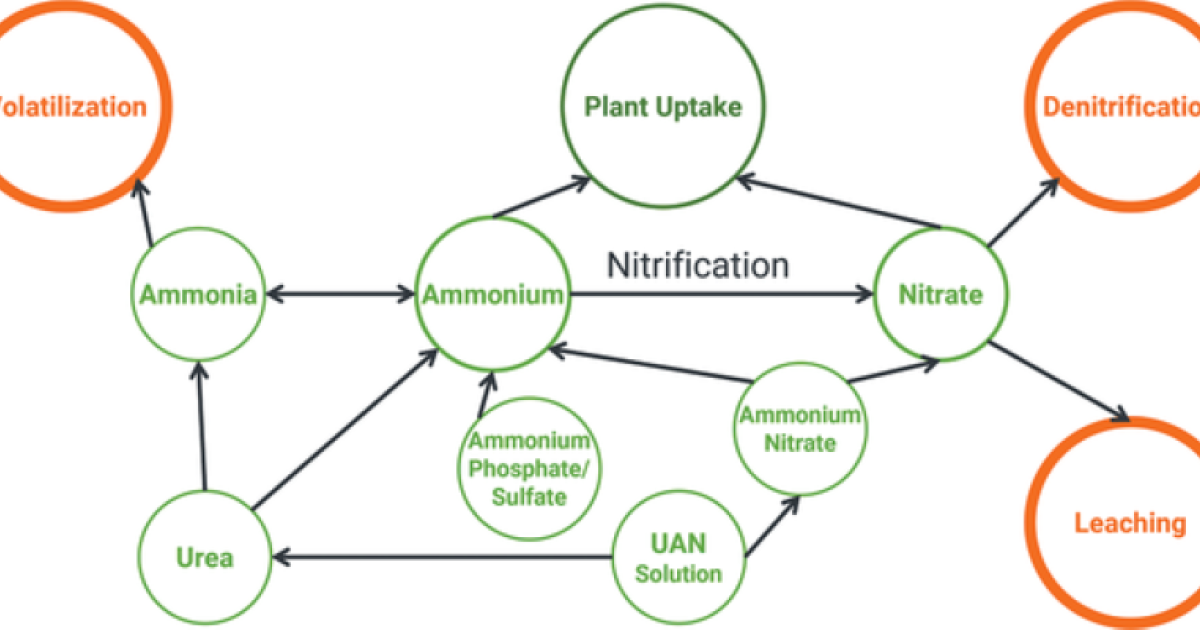 Integrating Enhanced-Efficiency Fertilizers in 4R Nutrient Management ...