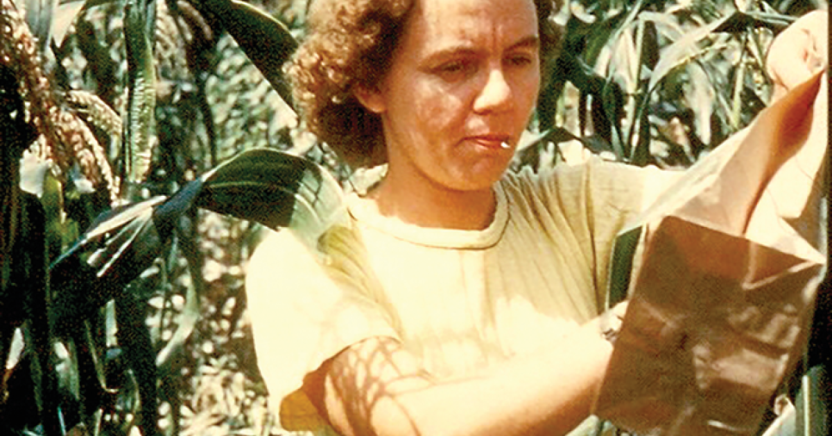 Blazing a Trail, Building a Legacy: The Extraordinary Life of Rosalind ...