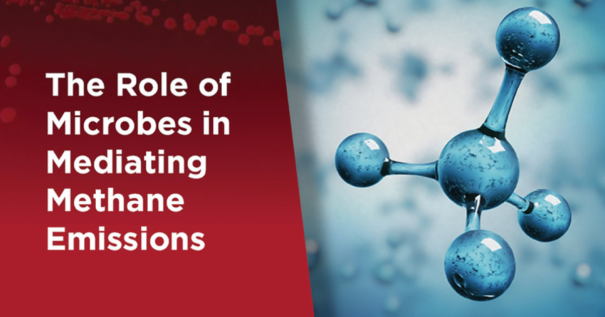 American Academy of Microbiology Releases New Report on Methane ...