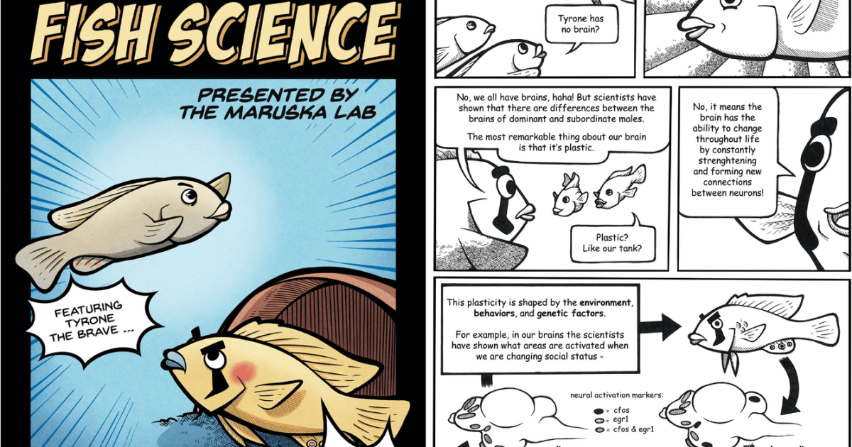 Science Comic Positively Impacts Learning and Attitude | Science Societies