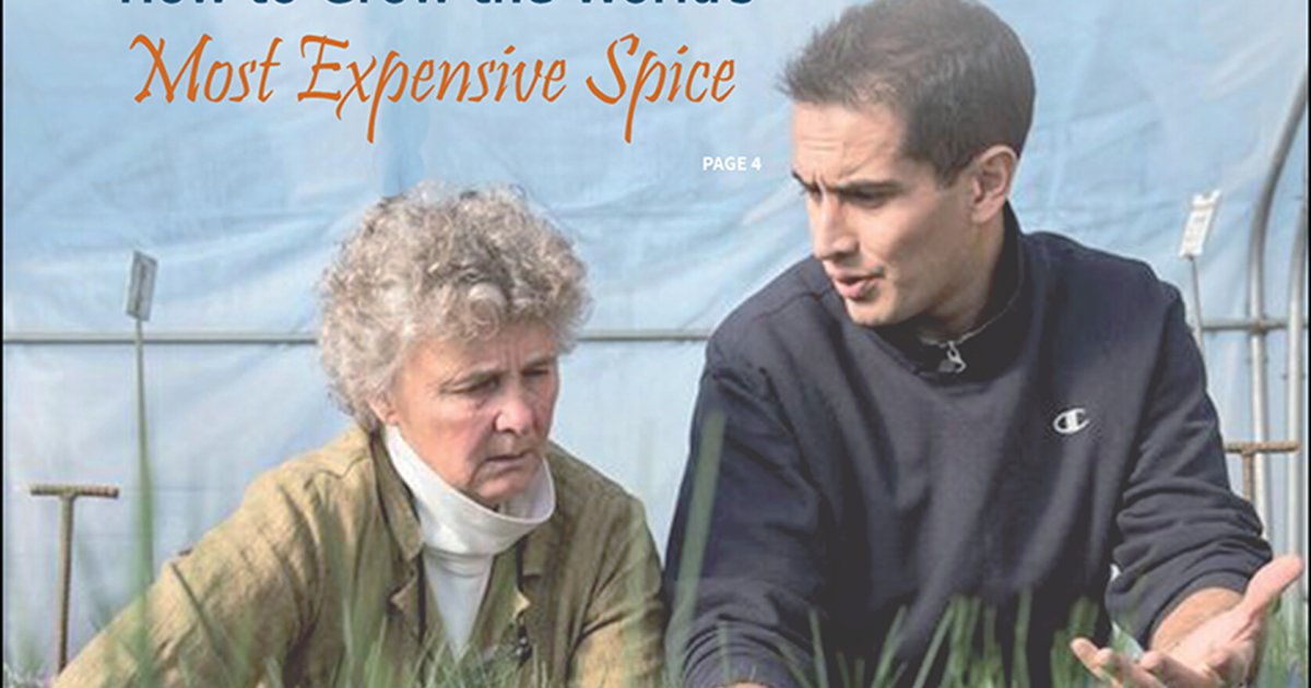 CSA News: Volume 69, Issue 5 | Science Societies