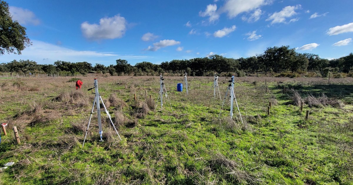 A cost-effective and adaptable instrument for soil infiltration ...
